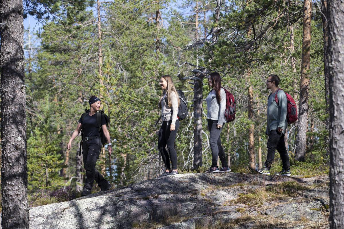 5 Reasons Why You Should Travel to Lapland in Summer - Safartica